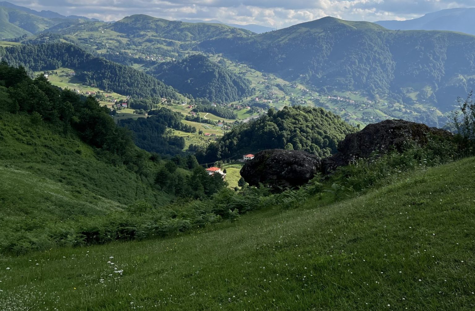 Moha – Research Center